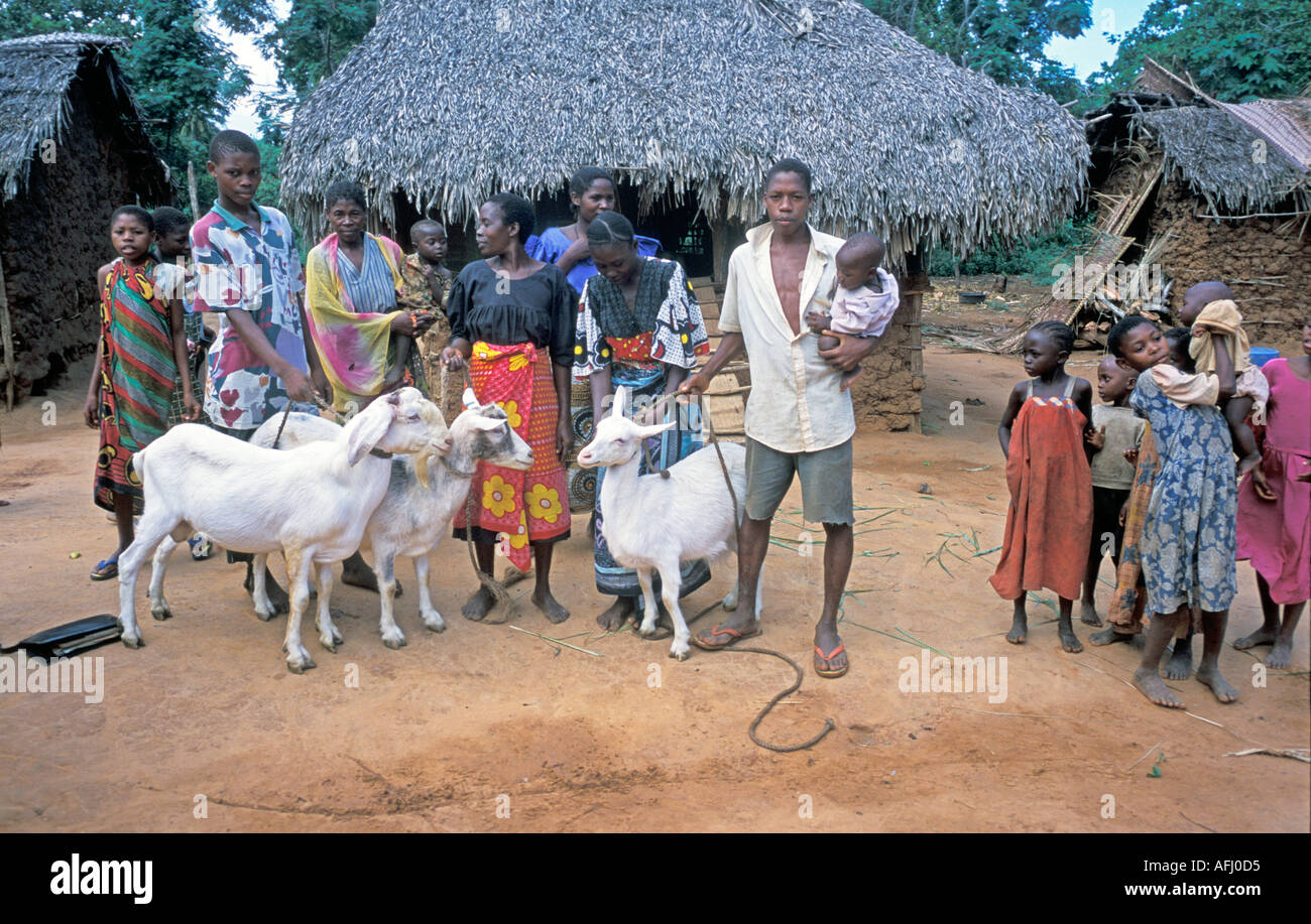 AFRICA KENYA DIGO Kenyan family with their Heifer Project International ...