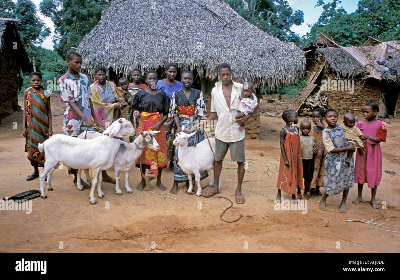 AFRICA KENYA DIGO Kenyan family with their Heifer Project International ...