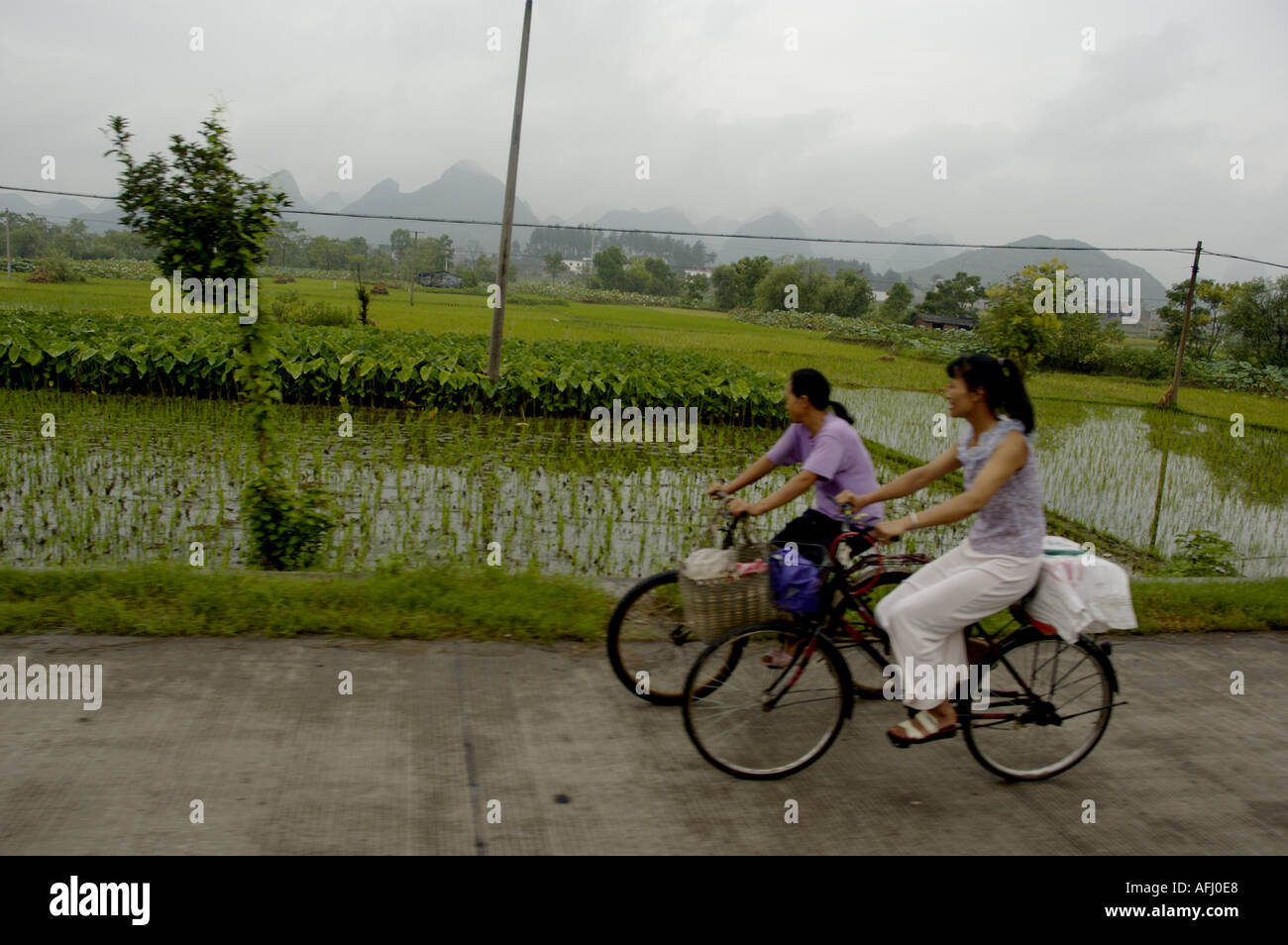 China Guangxi Two Women Riding Their Bicycles On The Road Between ...