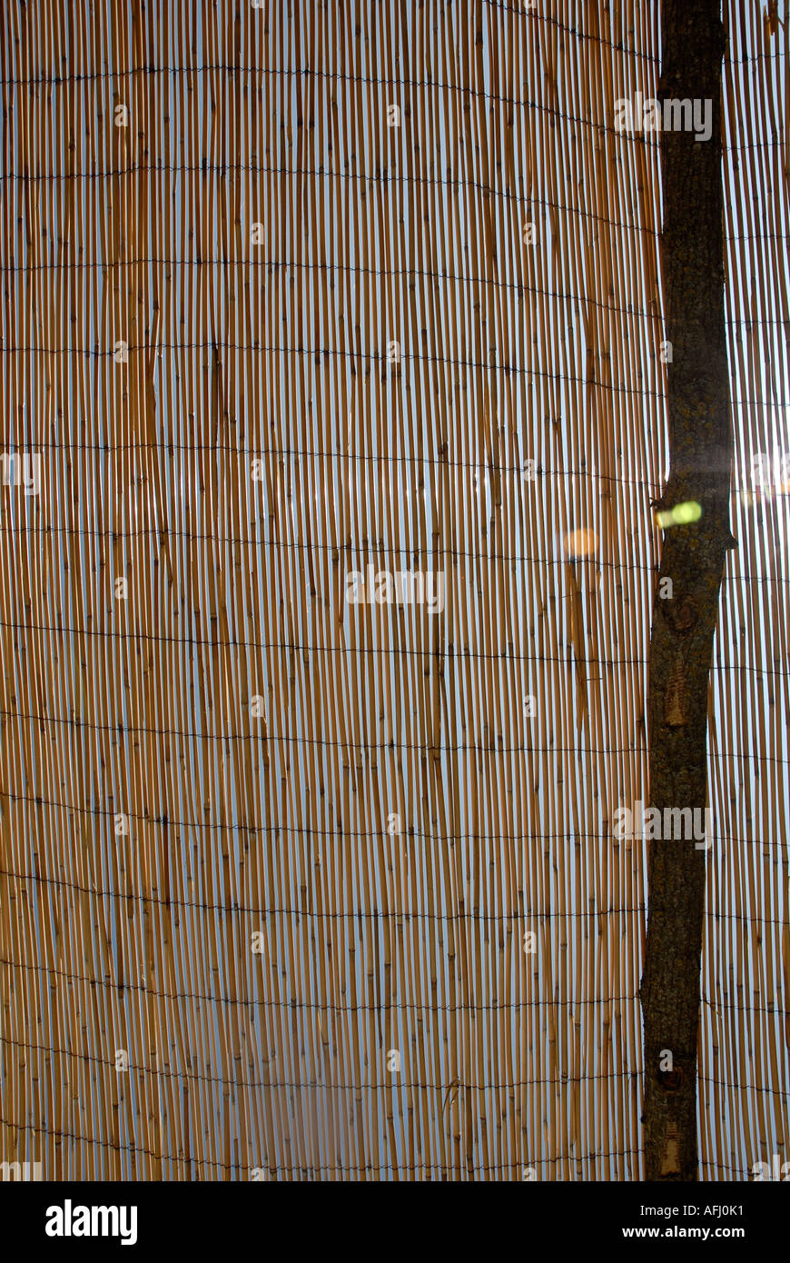 Bamboo screen hi-res stock photography and images - Alamy