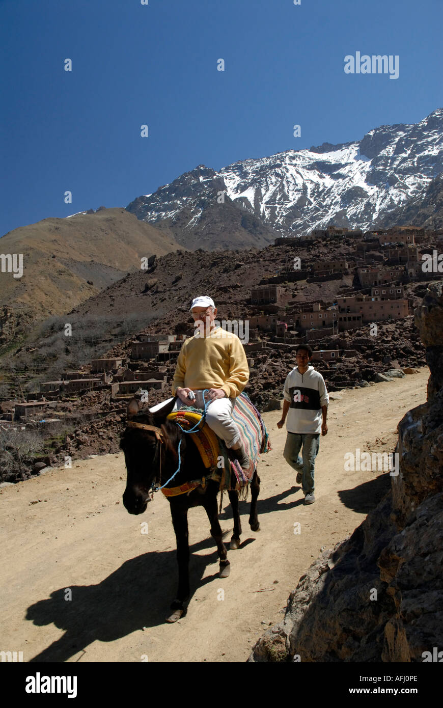 Donkeys walking on road hi-res stock photography and images - Alamy