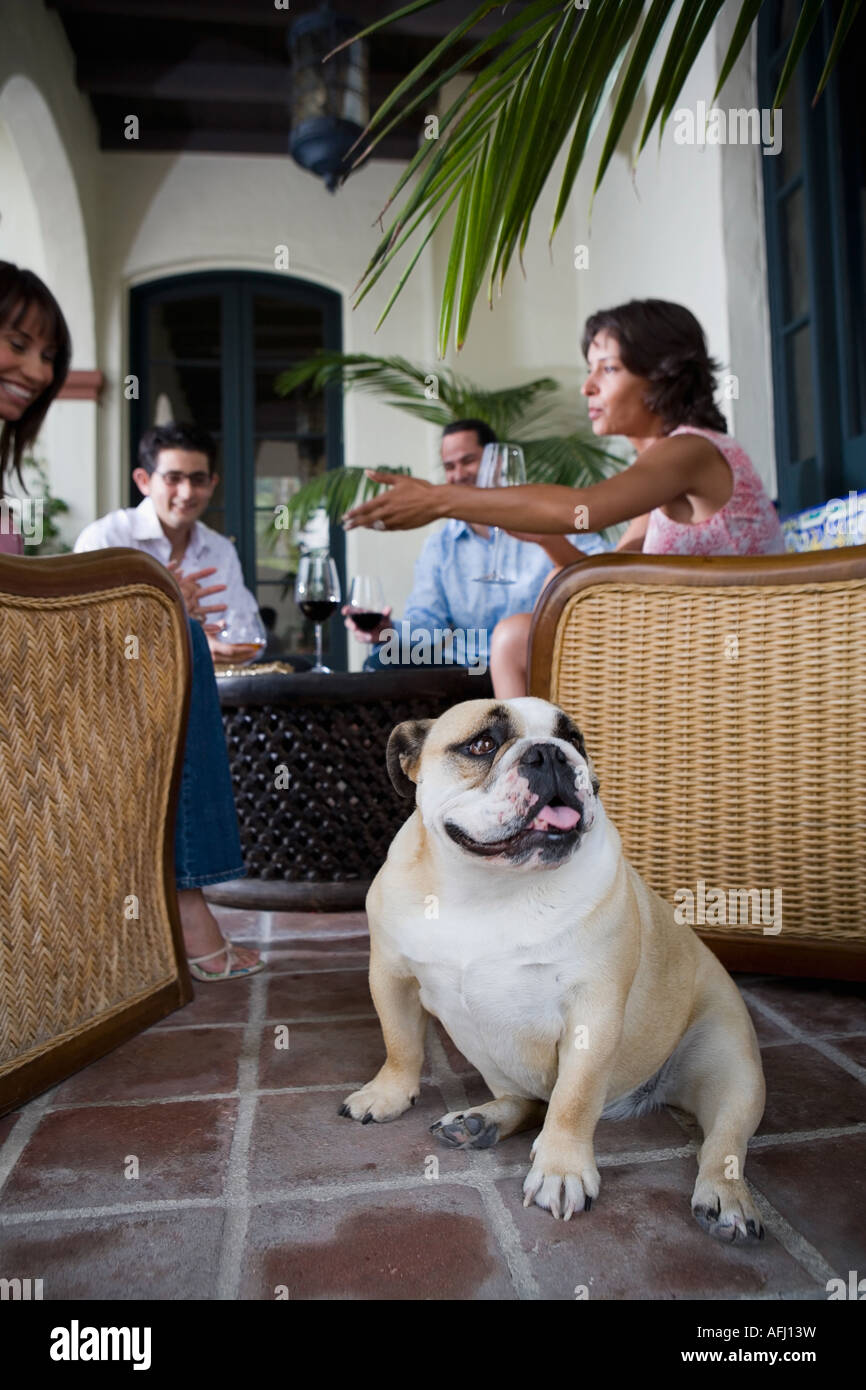 Group of friends socializing outdoors Stock Photo - Alamy