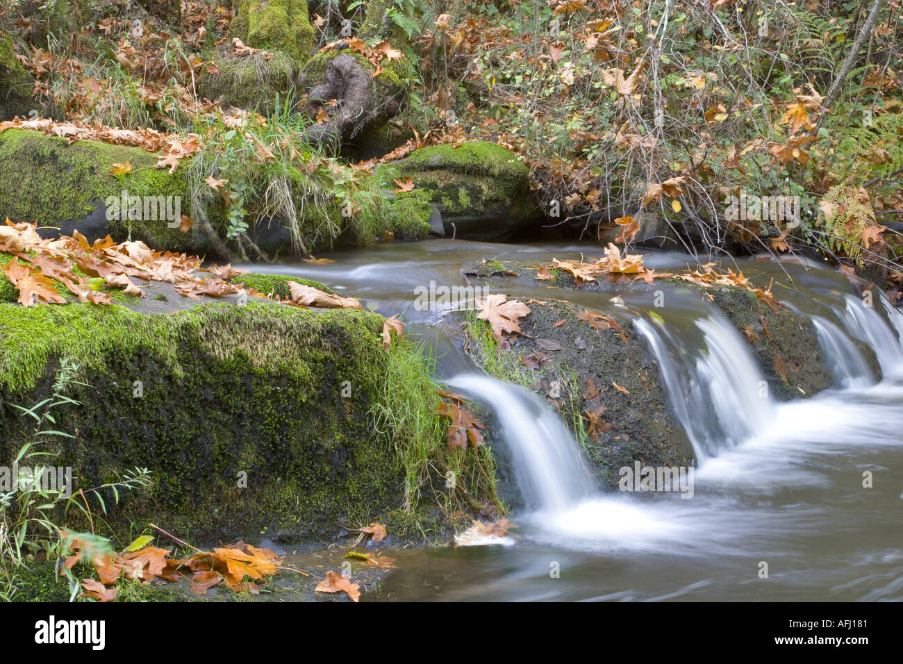 Bowen Parks Millstone River in fall and its many waterfalls provide a ...