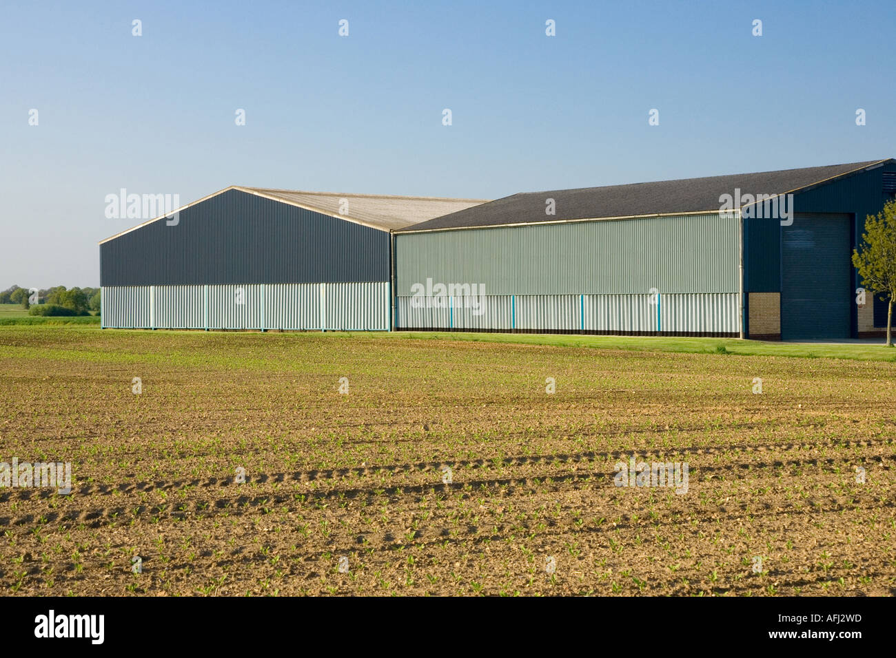 steel agricultural barn buildings Stock Photo - Alamy