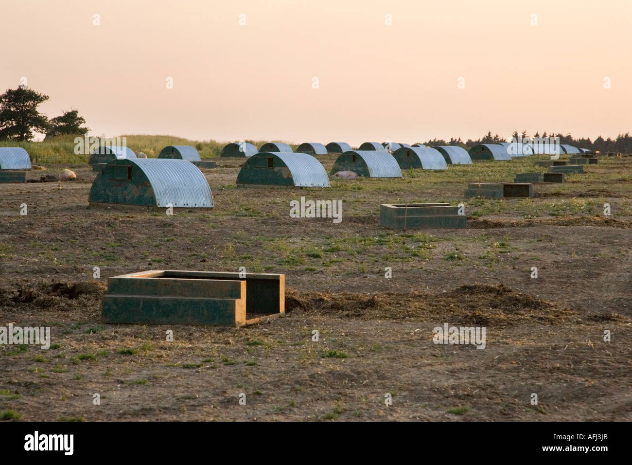 Pigsty hi-res stock photography and images - Alamy