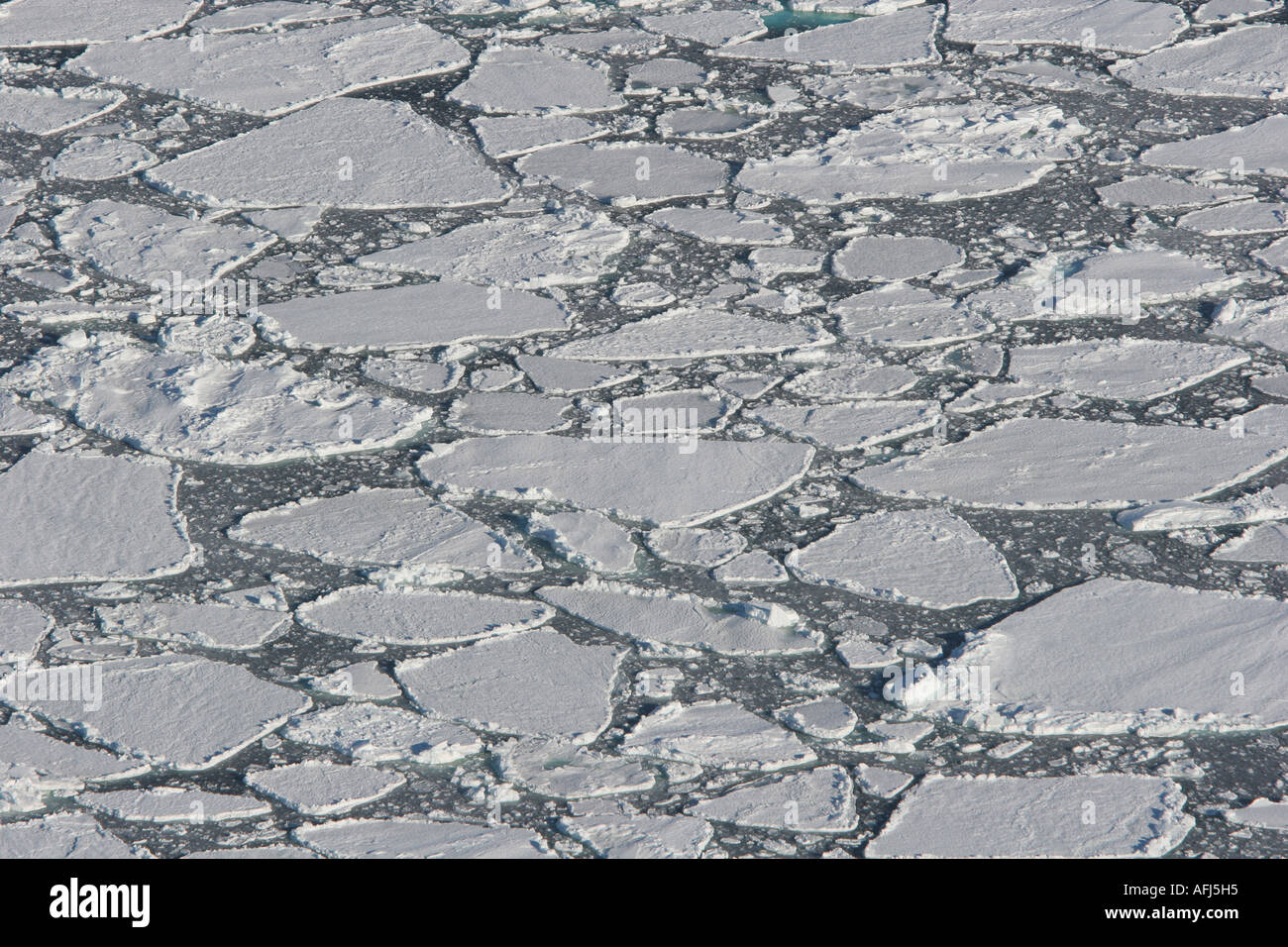 Ice pack in the Southern Ocean off of Antarctica 2006 Stock Photo - Alamy