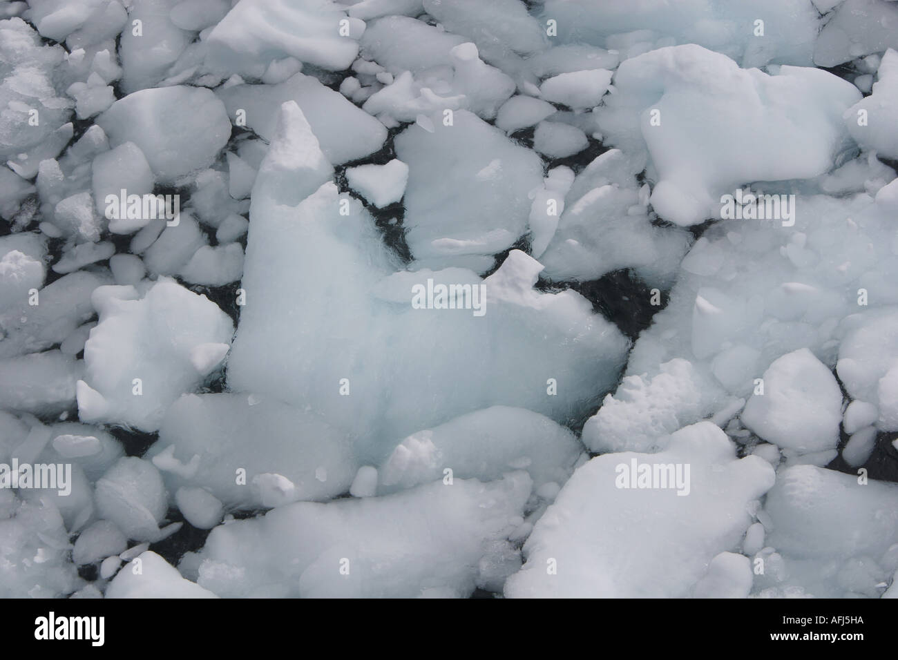 Antarctica 2006 hi-res stock photography and images - Alamy