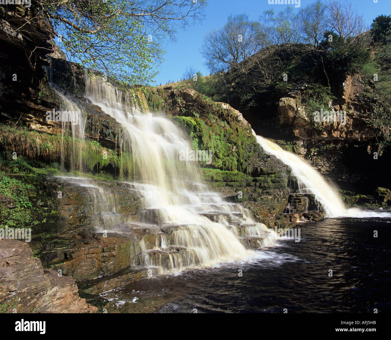 Crammell hi-res stock photography and images - Alamy