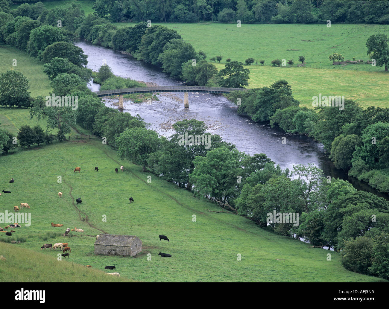 Bridge over the tree lined River Tees as it flows through farmland in ...
