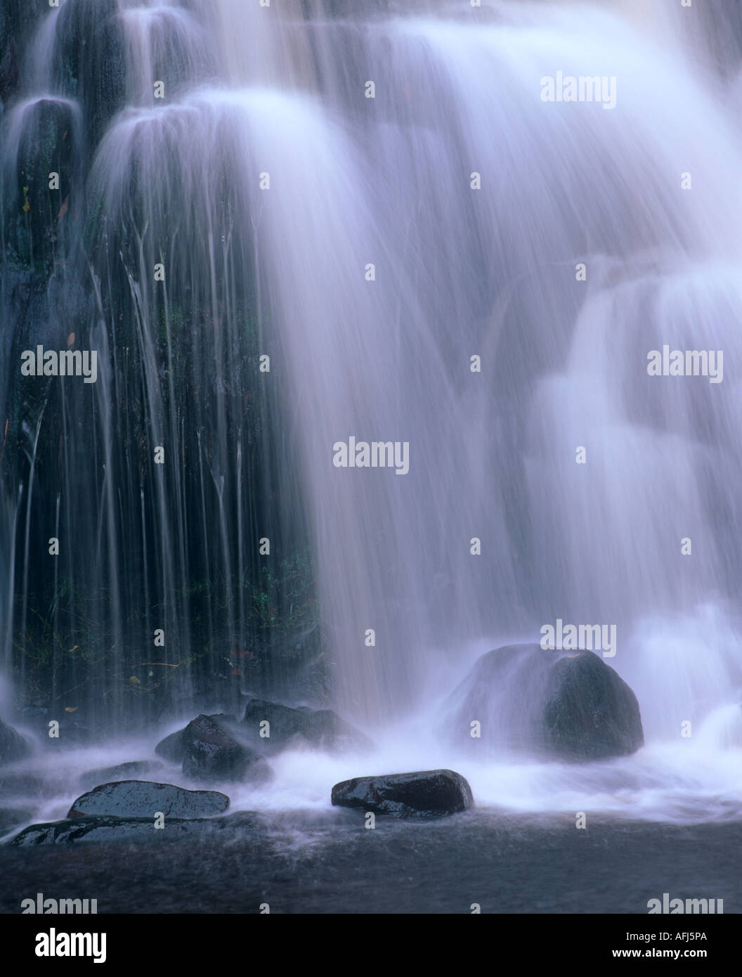 Waterfall called East Gill Force in North Yorkshire, England UK Stock ...