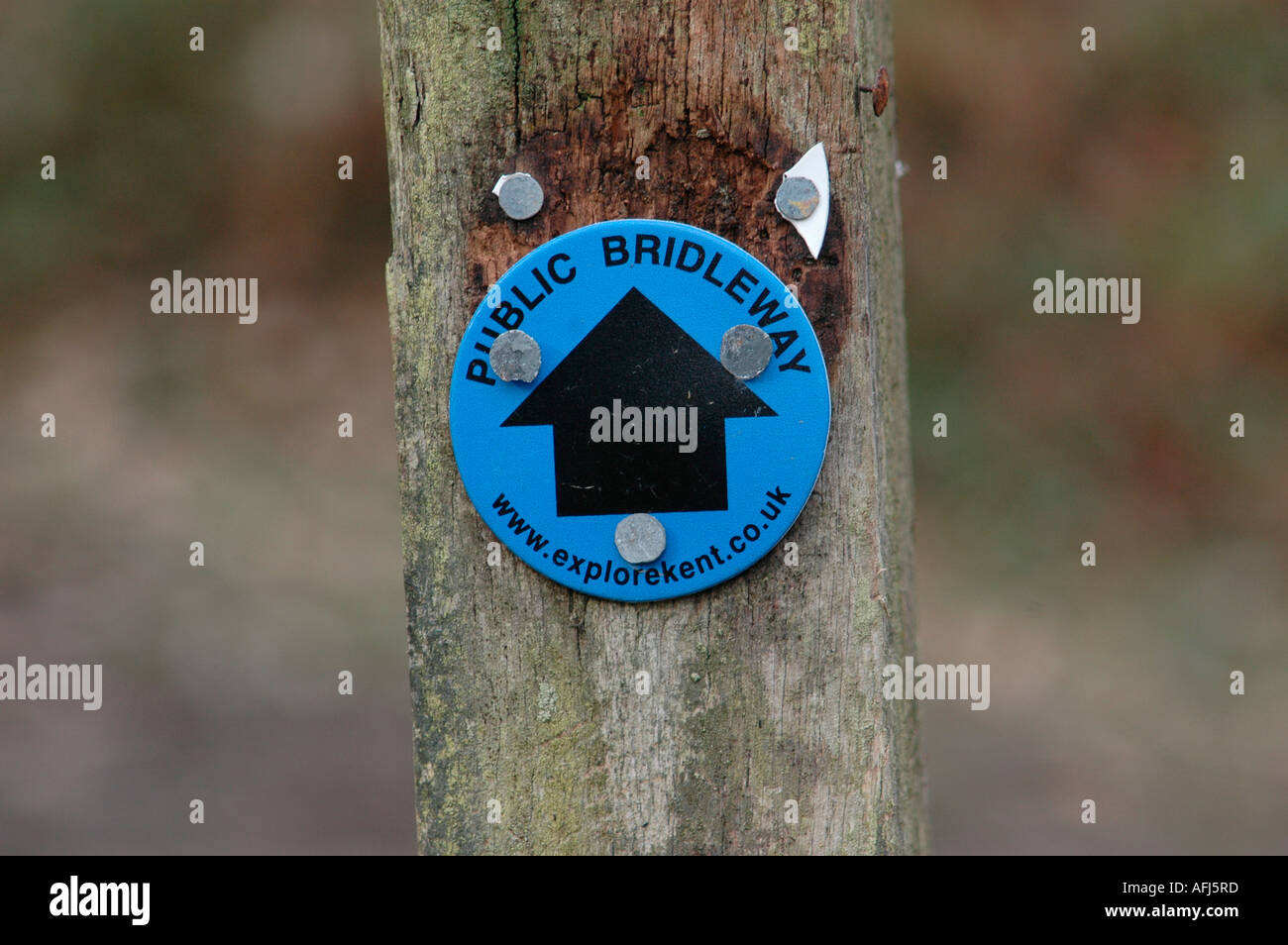 A blue public bridleway sign nailed to a post Stock Photo - Alamy