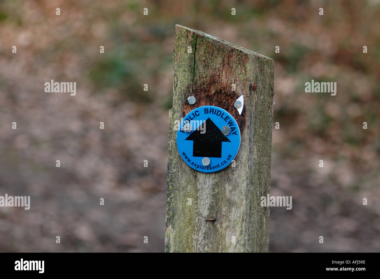 A blue public bridleway sign nailed to a post Stock Photo - Alamy