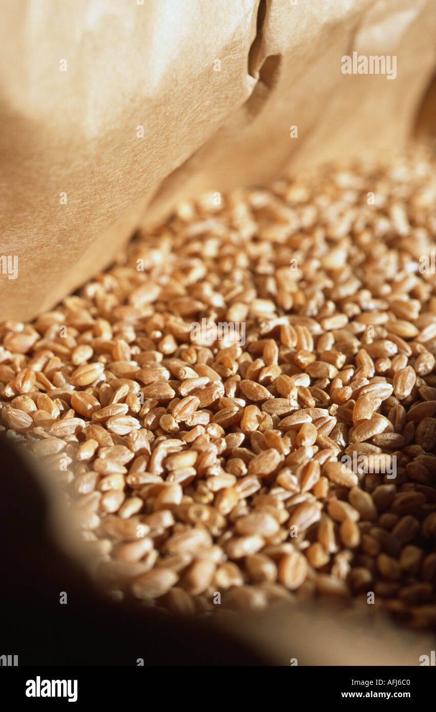 Milling wheat hi-res stock photography and images - Alamy