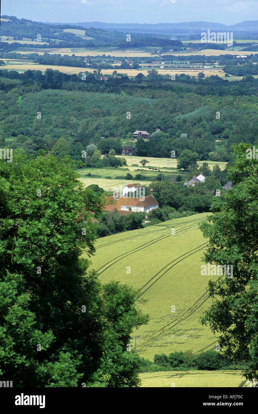 The Sussex Weald near Rackham and Amberley, West Sussex Stock Photo - Alamy