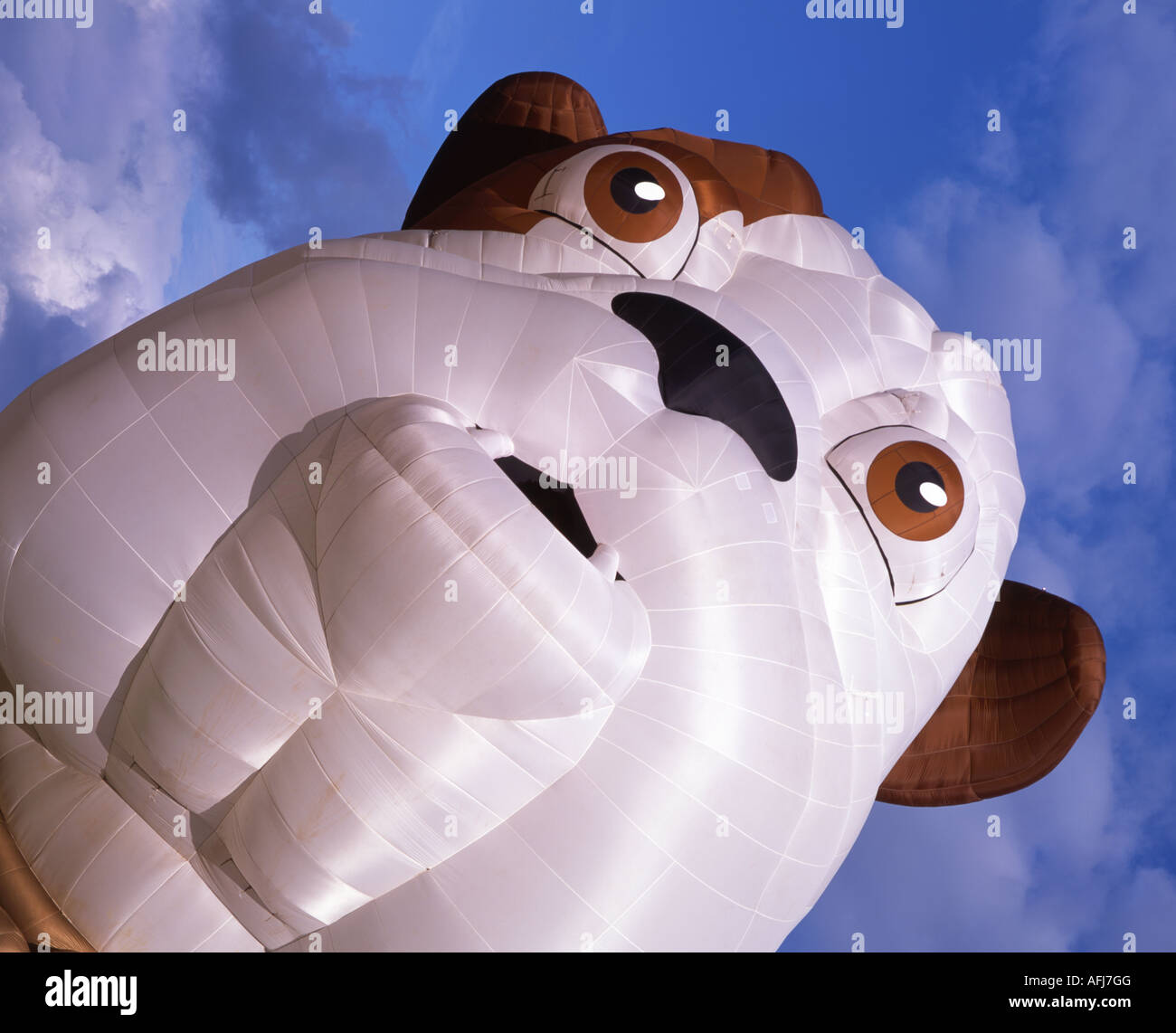 The Churchill Insurance Bulldog Hot Air Balloon at Bristol ...