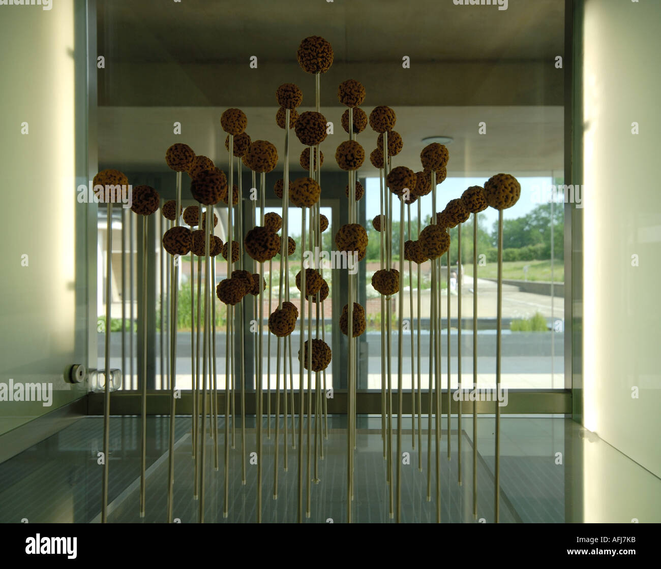 Millennium seed bank hi-res stock photography and images - Alamy
