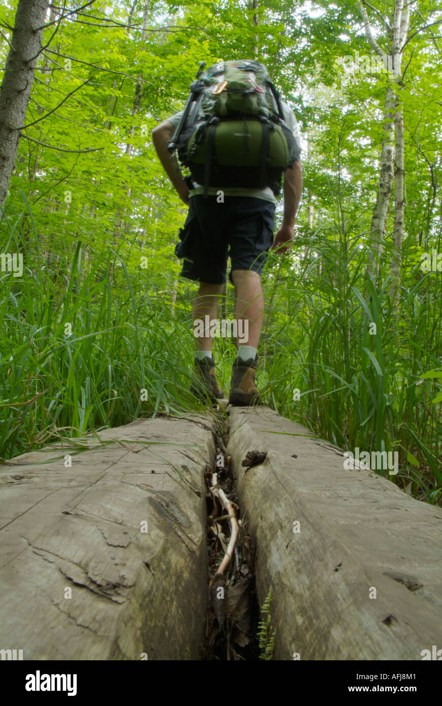 Wooden Foot Bridge located in the White Mountain National Forest USA ...