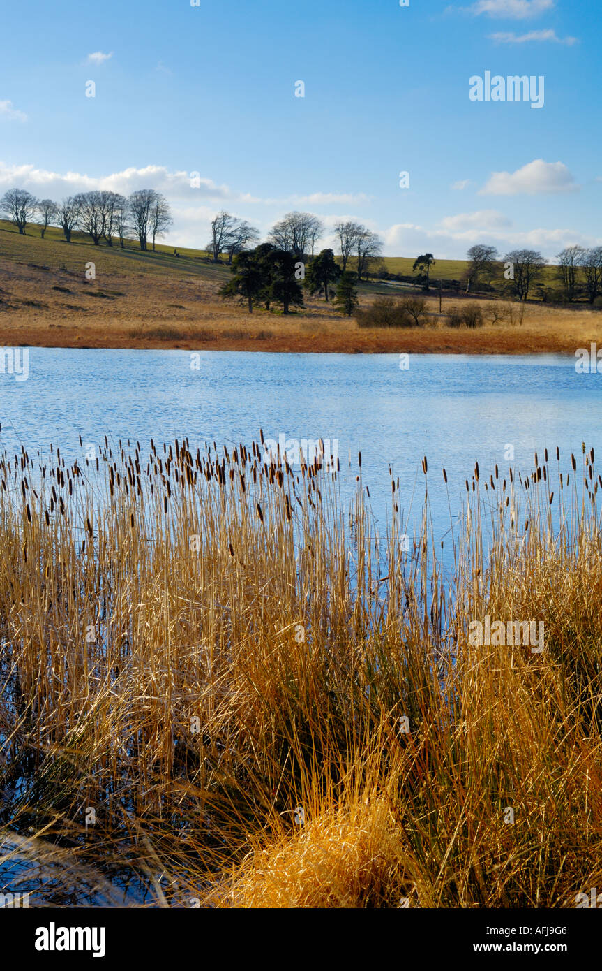 Waldergrave Pool at the Priddy Mineries on the Mendip Hills, Priddy ...