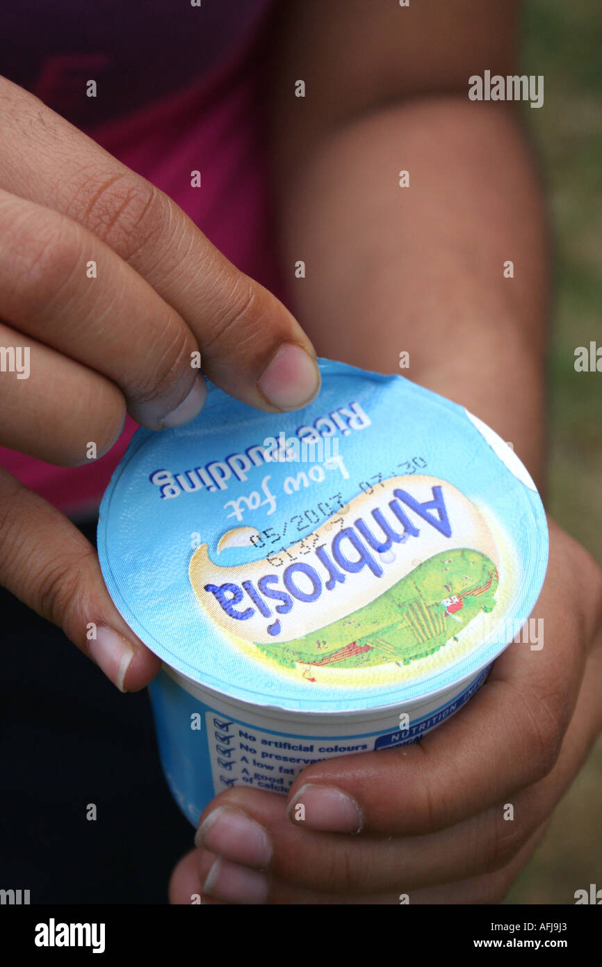 Ambrosia Low Fat Cream Rice Stock Photo - Alamy