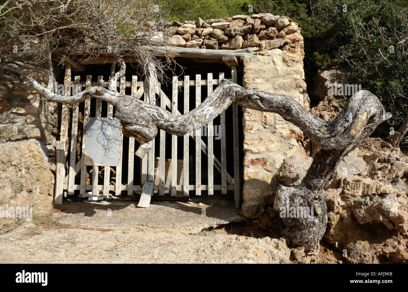Slatted gate hi-res stock photography and images - Alamy