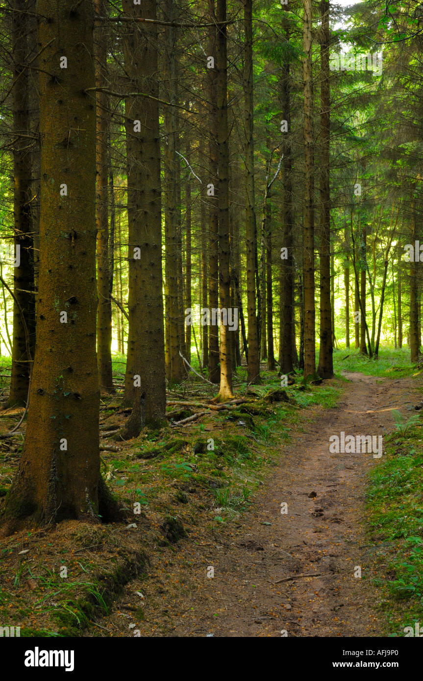 Dean of christchurch hi-res stock photography and images - Alamy