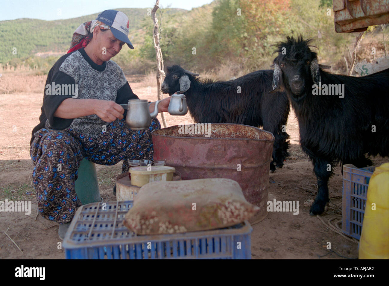 Woman goat herder with her animals living near a remote village in ...