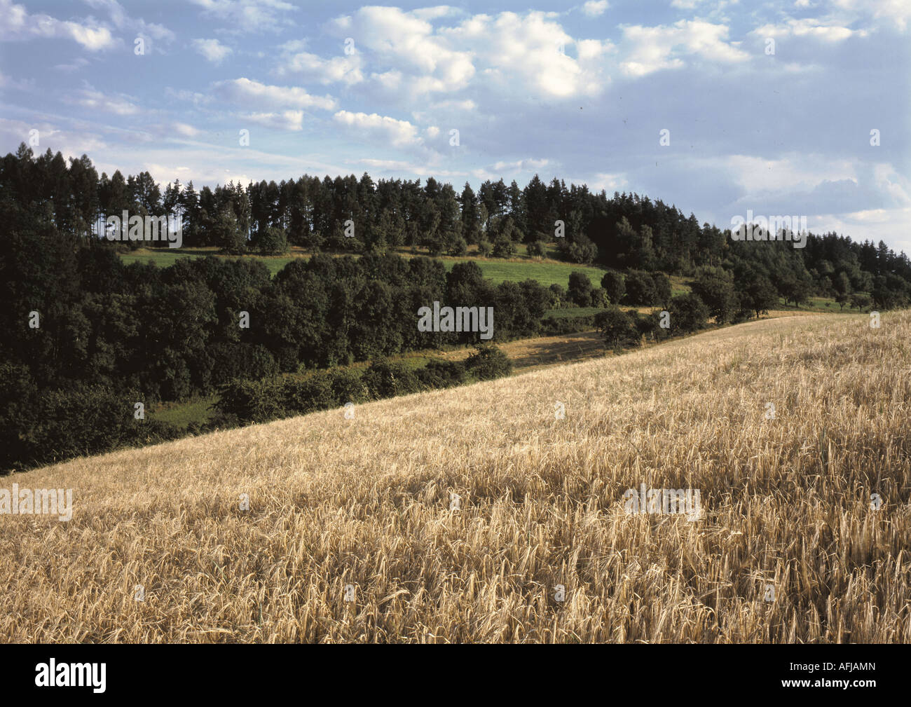 Ground on the highlands Stock Photo - Alamy