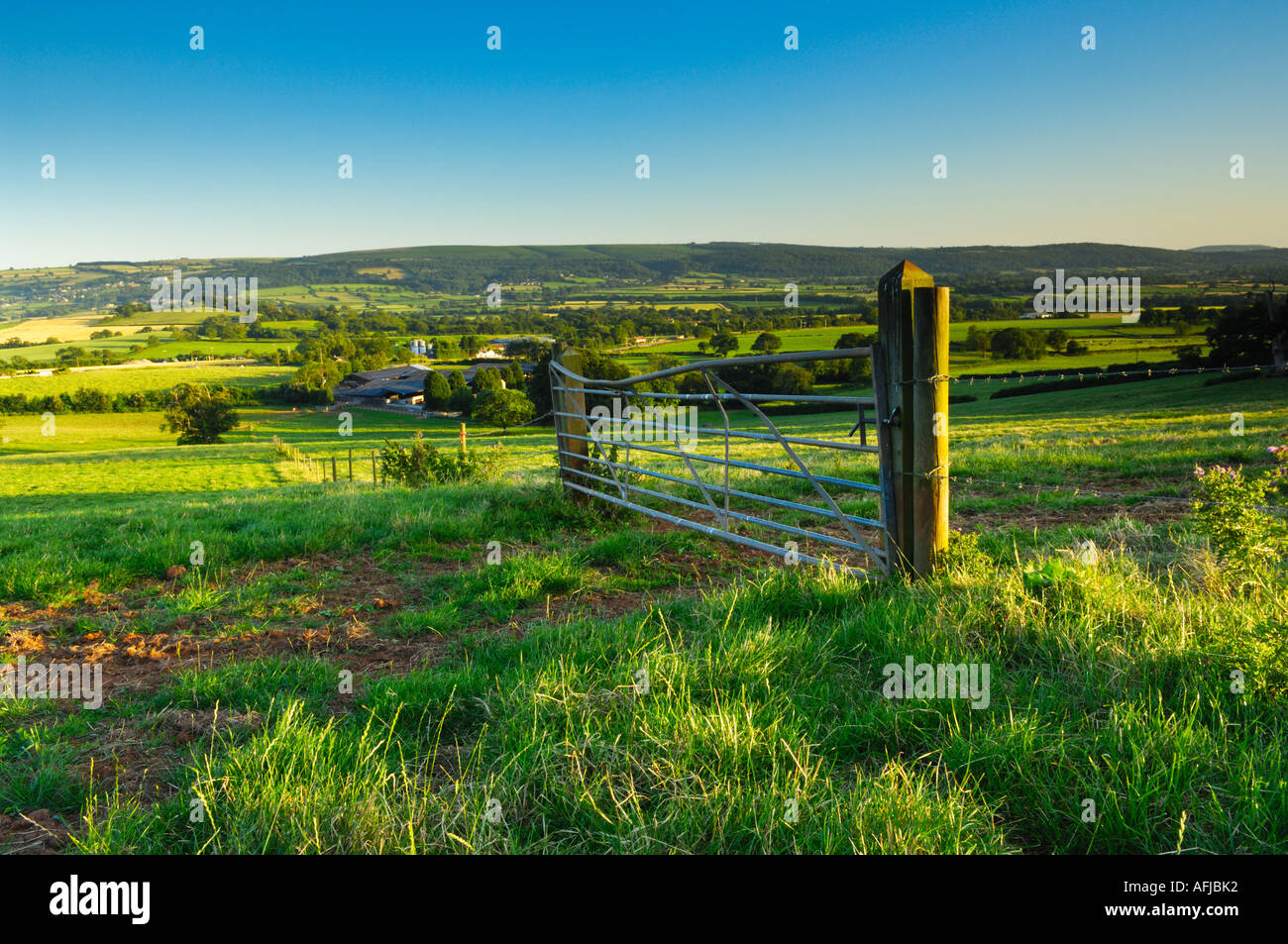 Wrington Vale with the Mendip Hills beyond viewed from Redhill, North ...