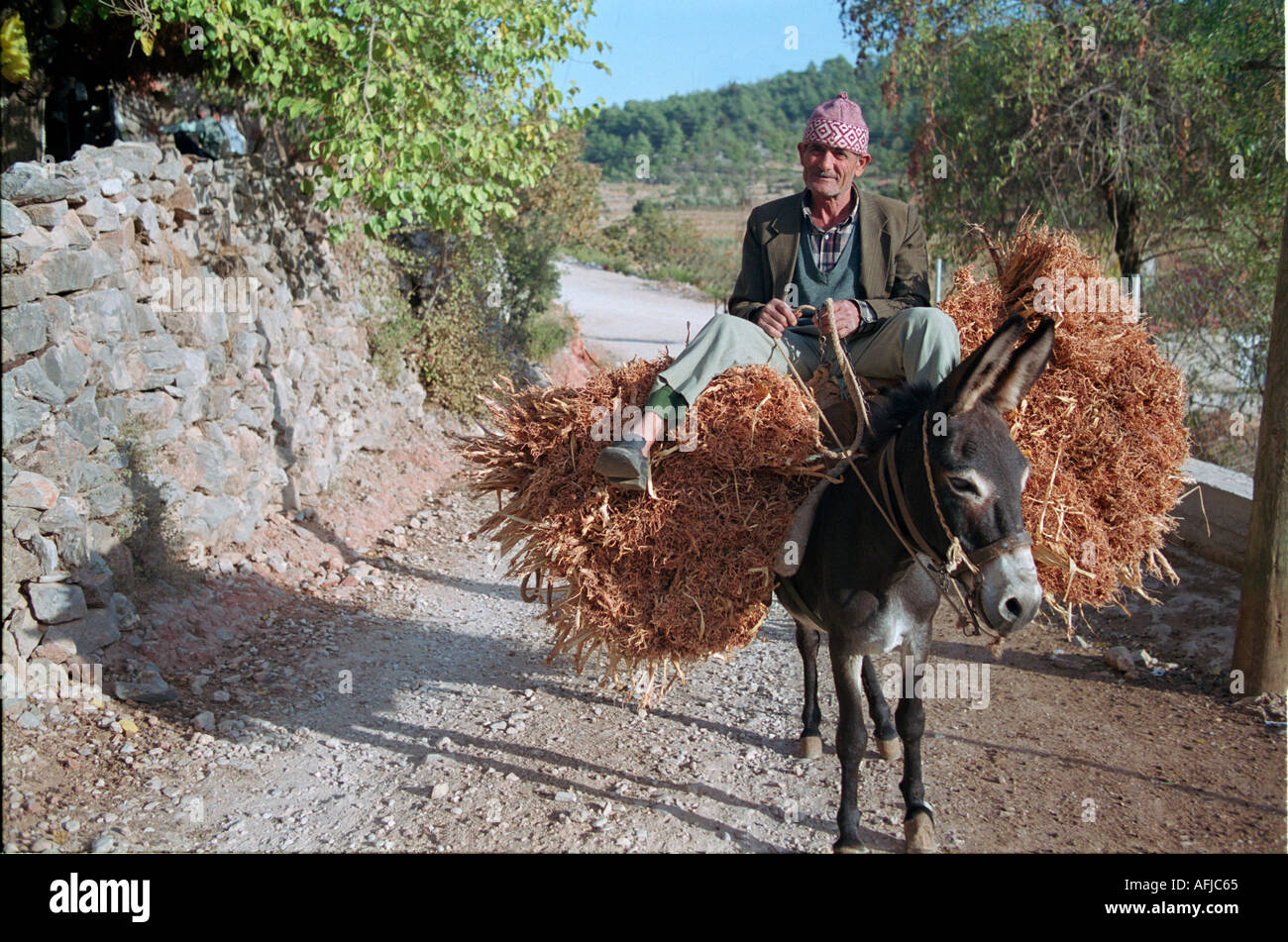 Donkey carrying heavy load hi-res stock photography and images - Alamy