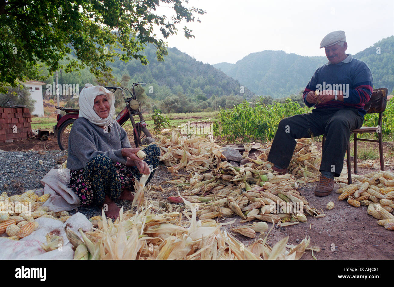Husking corn hi-res stock photography and images - Alamy