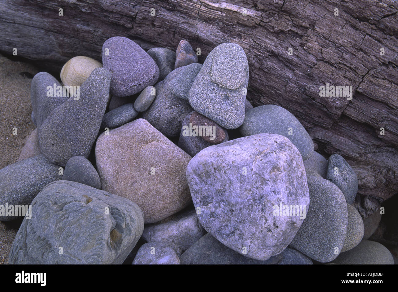 Pebbles & Bark Stock Photo - Alamy