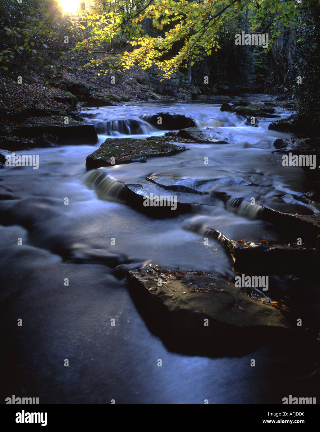 Mills on the river rivelin hi-res stock photography and images - Alamy
