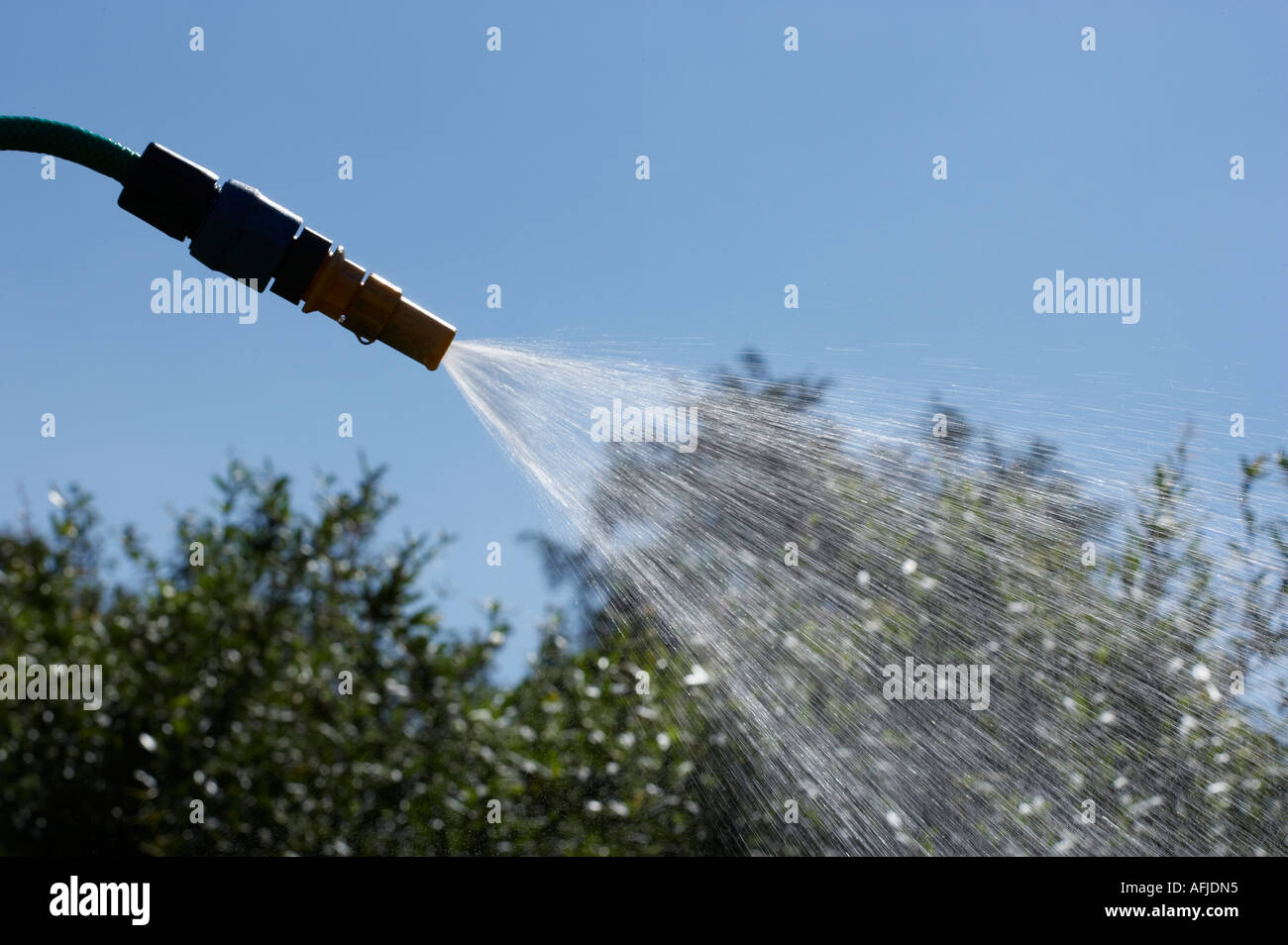 JET OF WATER SPRAYING FROM GARDEN HOSE PIPE IN SUMMER SUN Stock Photo ...