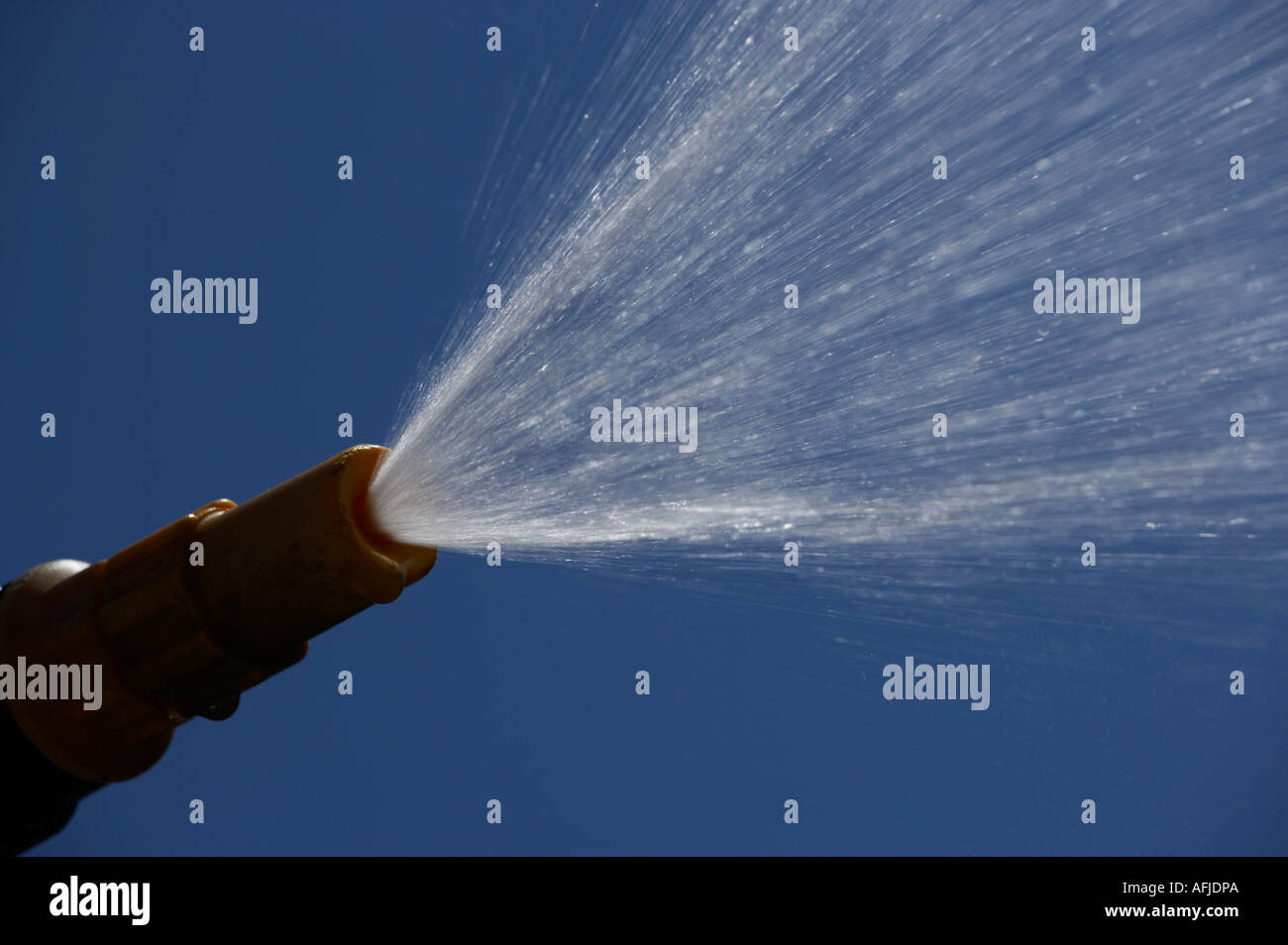 Garden hosepipe hedge hi-res stock photography and images - Alamy