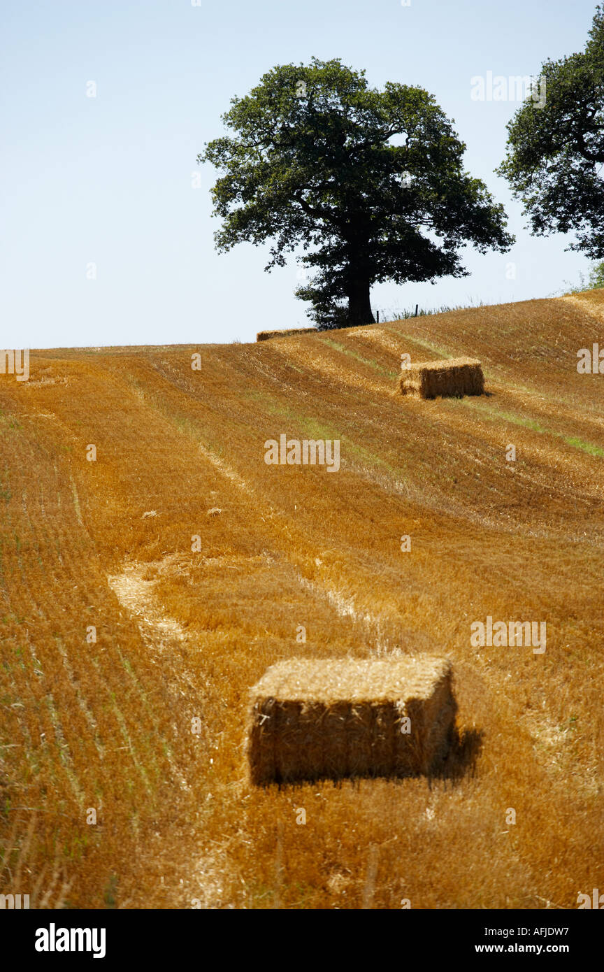 Farmingb hi-res stock photography and images - Alamy