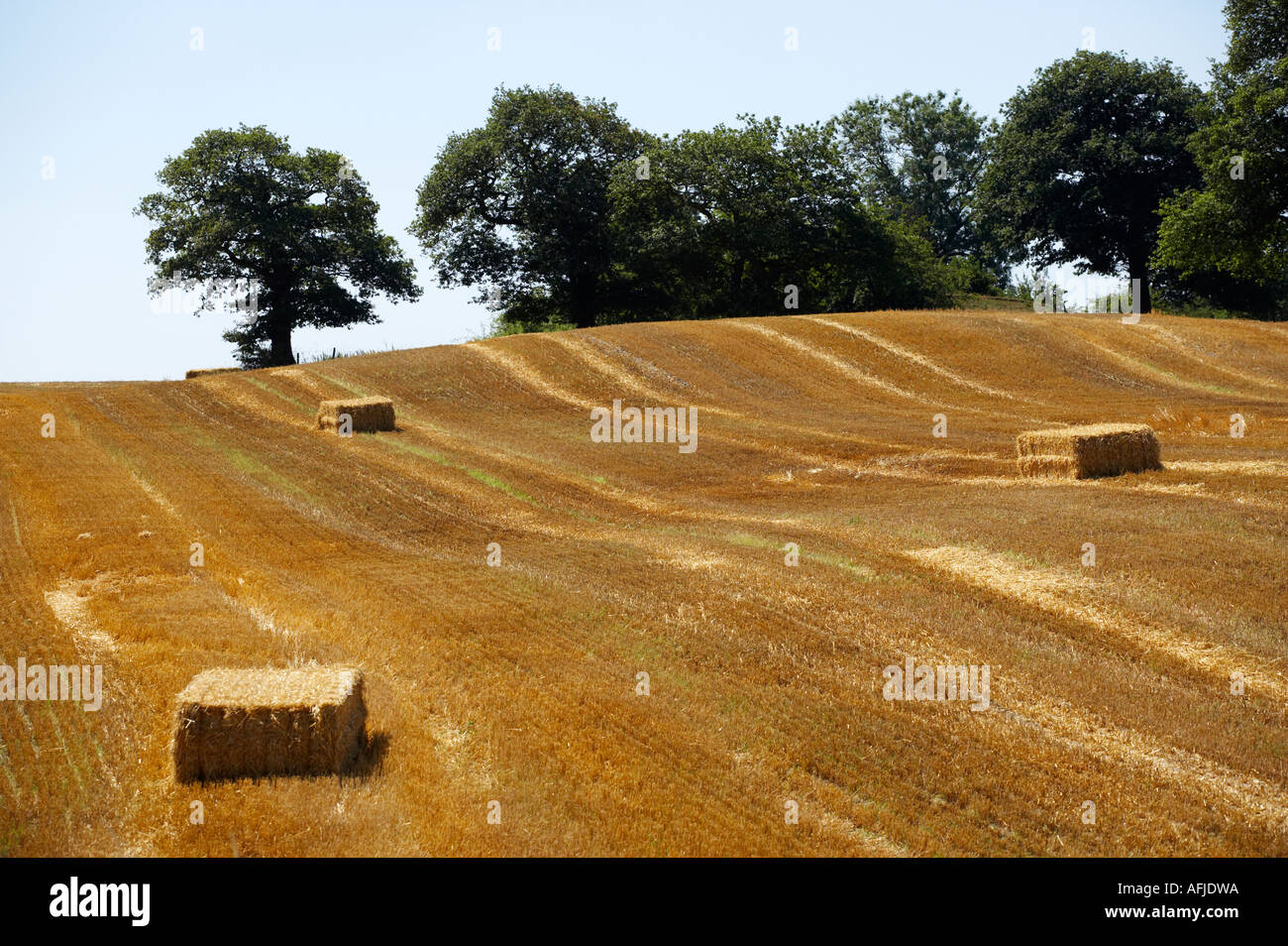 Bails hi-res stock photography and images - Alamy