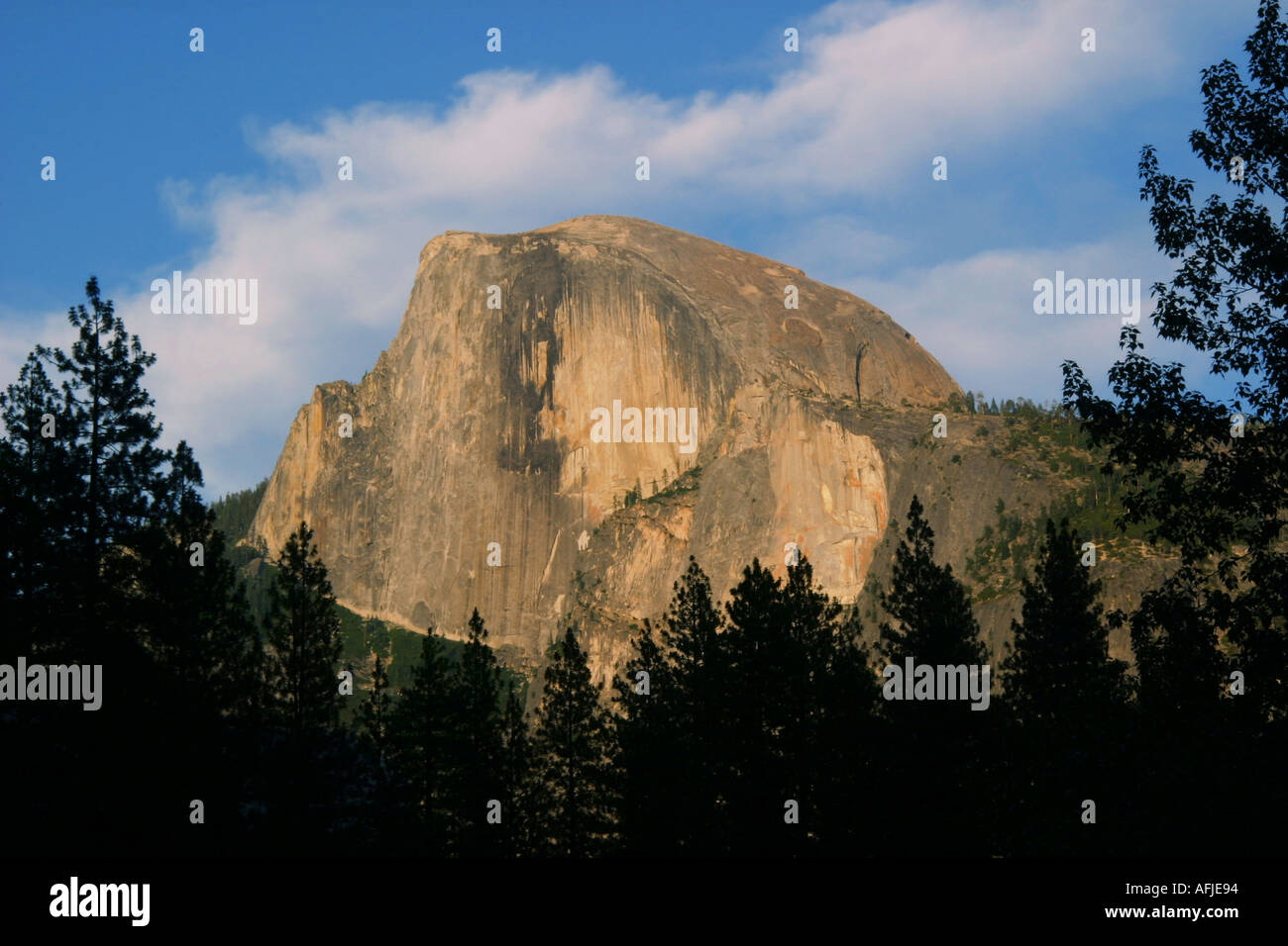 The Half Dome in Yosemite National Park California Stock Photo - Alamy