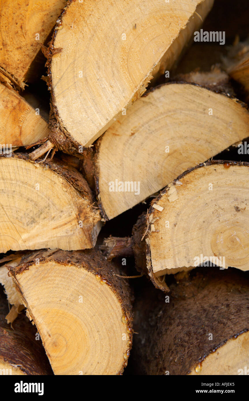 Stacked wood pile hi-res stock photography and images - Alamy