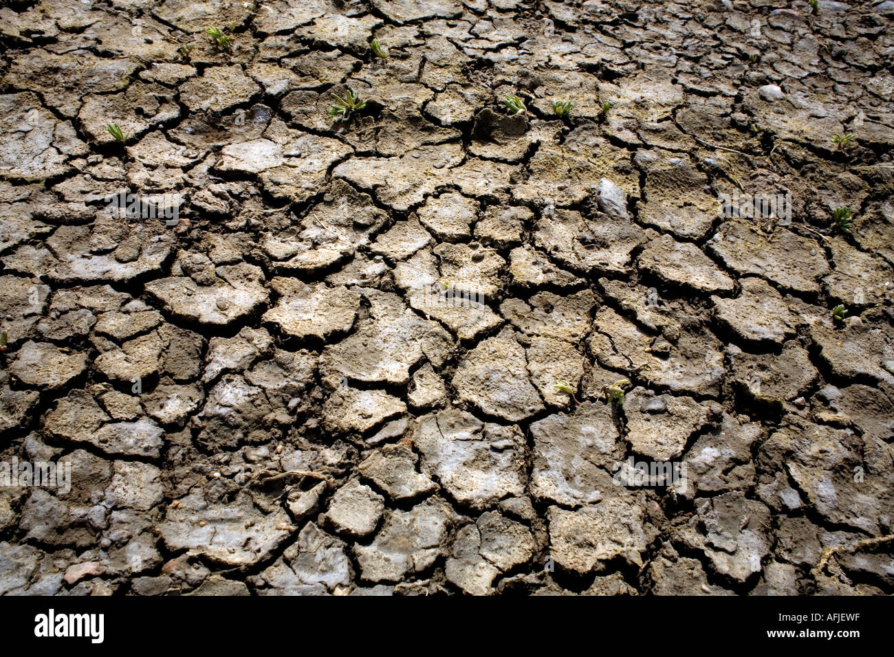 Parched soil summer hi-res stock photography and images - Alamy