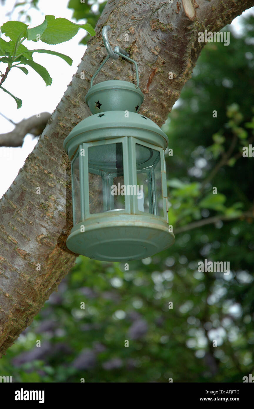 Candle trees hi-res stock photography and images - Alamy