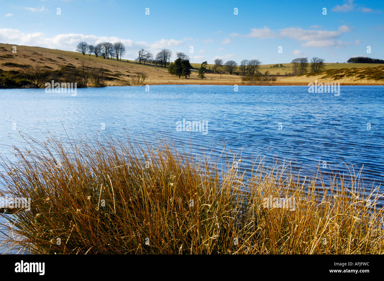 Priddy pools hi-res stock photography and images - Alamy