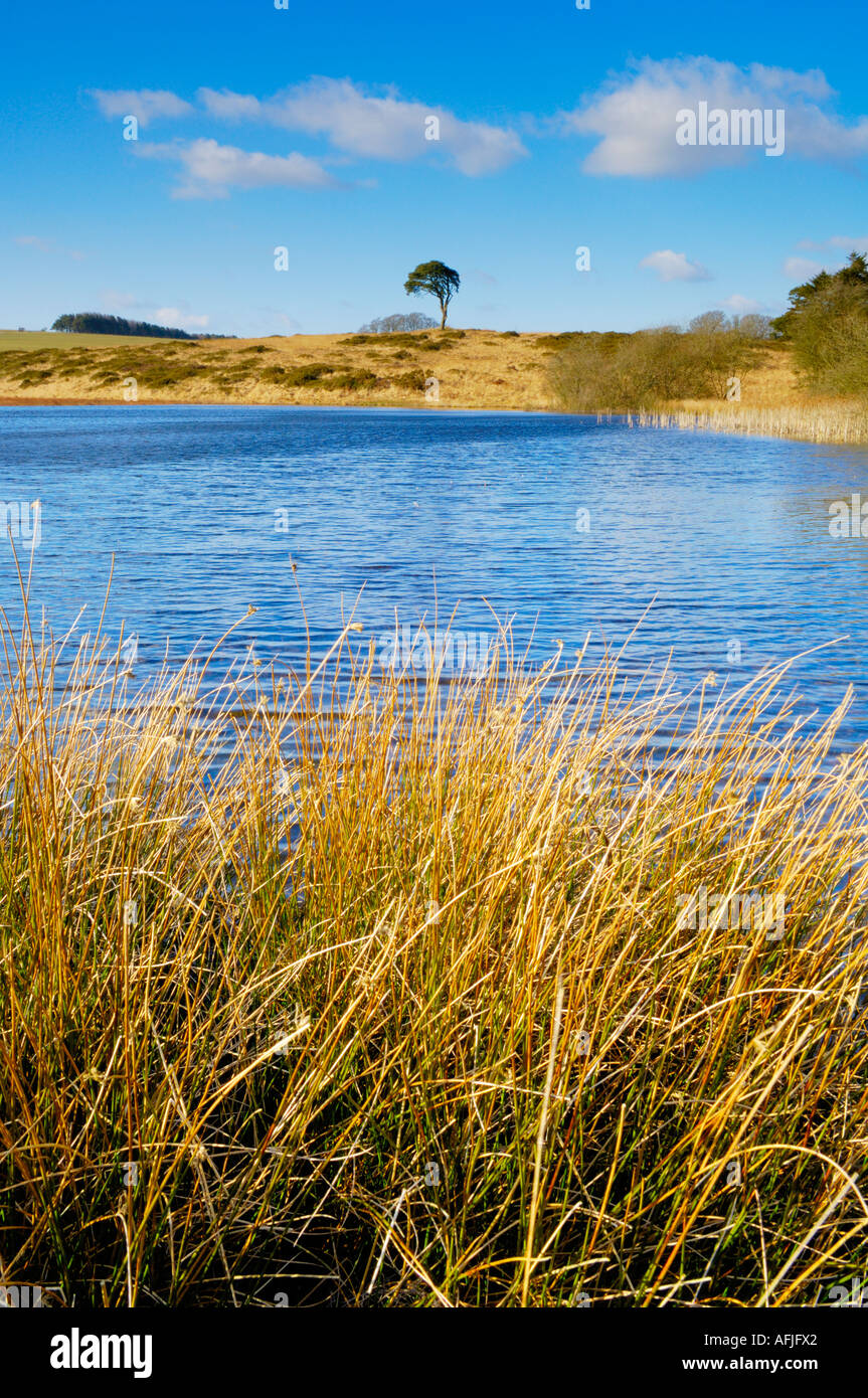 Waldergrave Pool at the Priddy Mineries on the Mendip Hills, Priddy ...