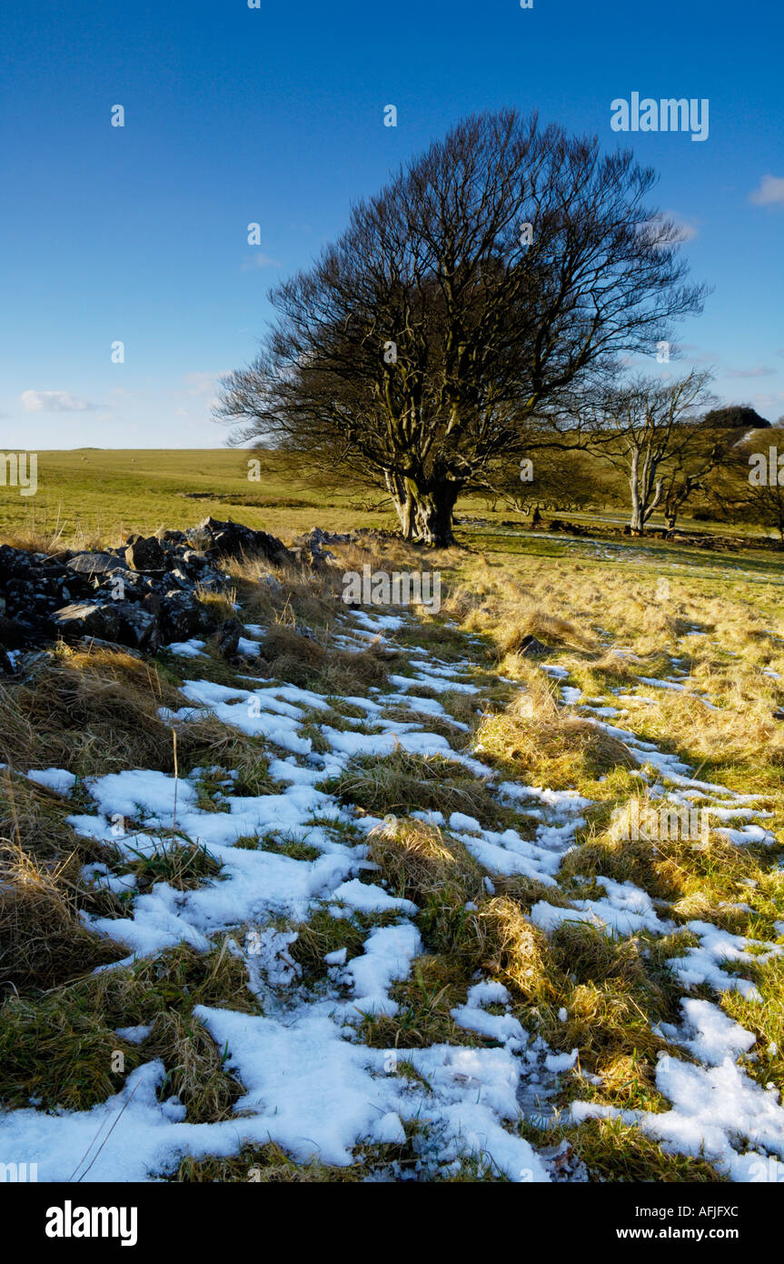 Priddy somerset hi-res stock photography and images - Alamy