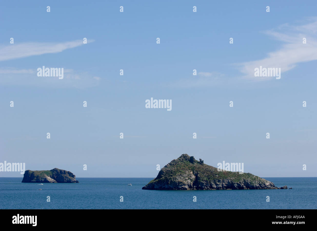 Thatcher Rock, Torbay, Torquay, Devon, England, UK Stock Photo - Alamy