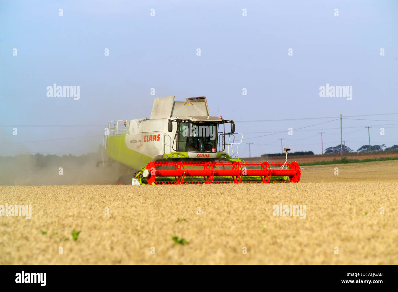 Harvesting the wheat Claas lexion 580 terra trac combine harvester ...