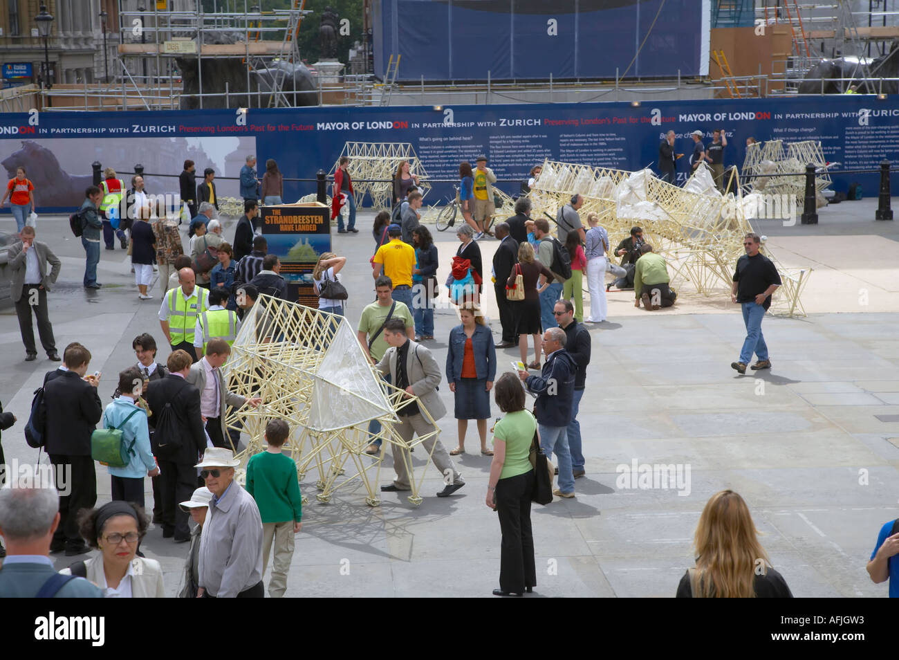 Stranbeest hi-res stock photography and images - Alamy