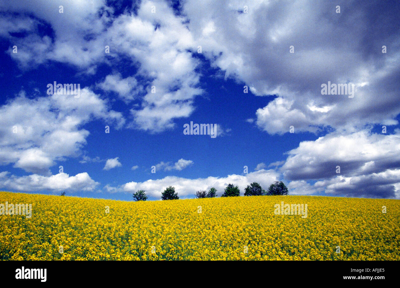 Scenic of Abava Valley Nature Park Latvia Stock Photo - Alamy