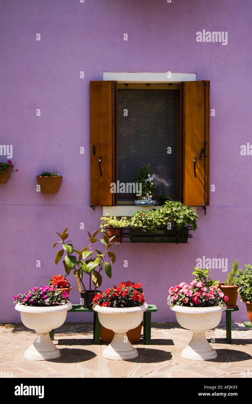 Flowers in three urn style planters under window with wooden shutters ...
