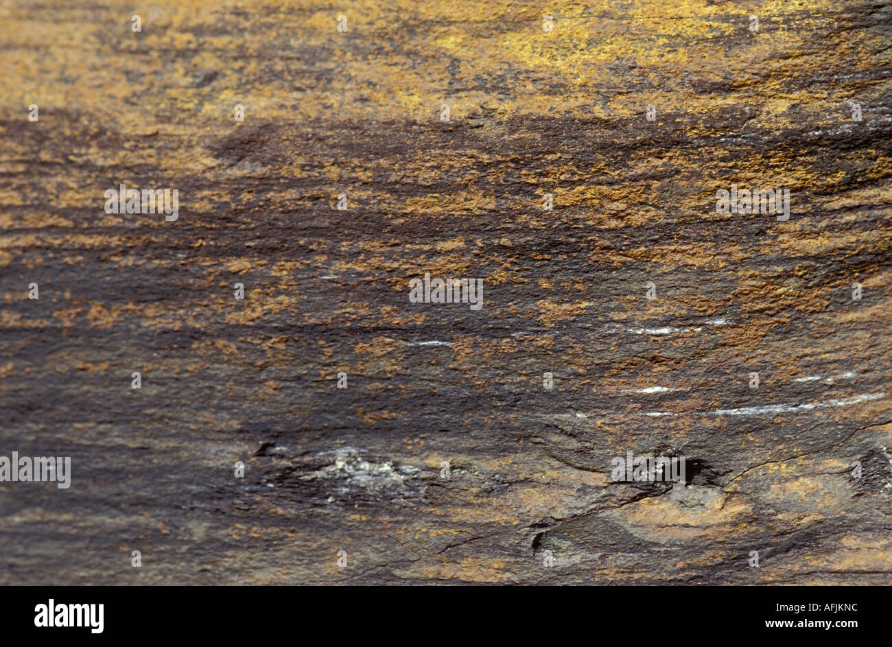 Antrim Shale cross section, Northern Michigan Basin Stock Photo - Alamy