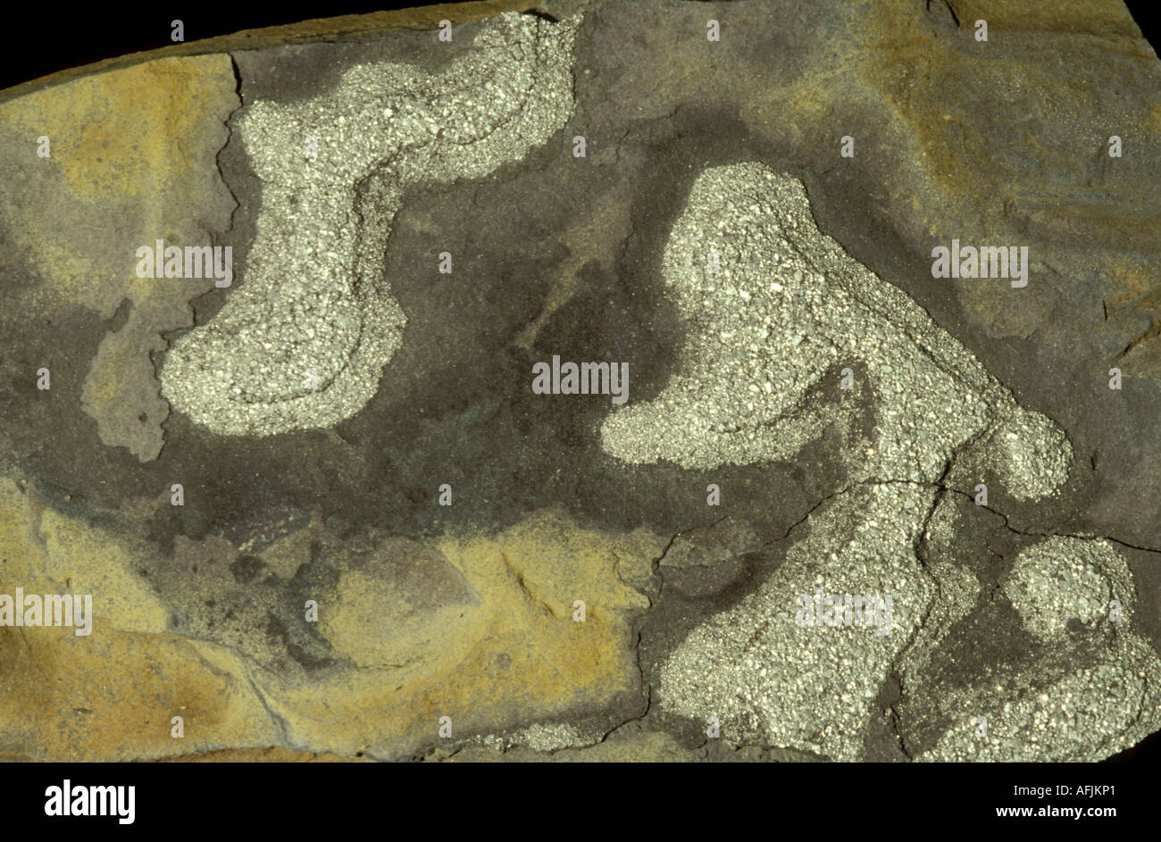 Antrim shale hi-res stock photography and images - Alamy